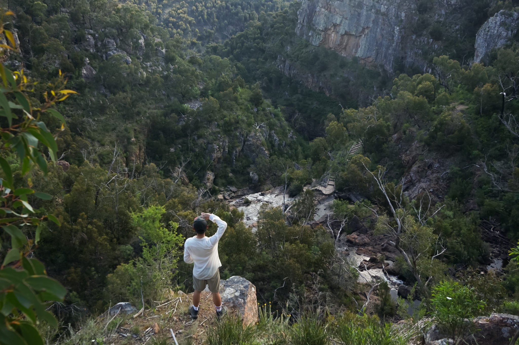 Victoria 2020: Part 1. The Wimmera - Fierce Flora