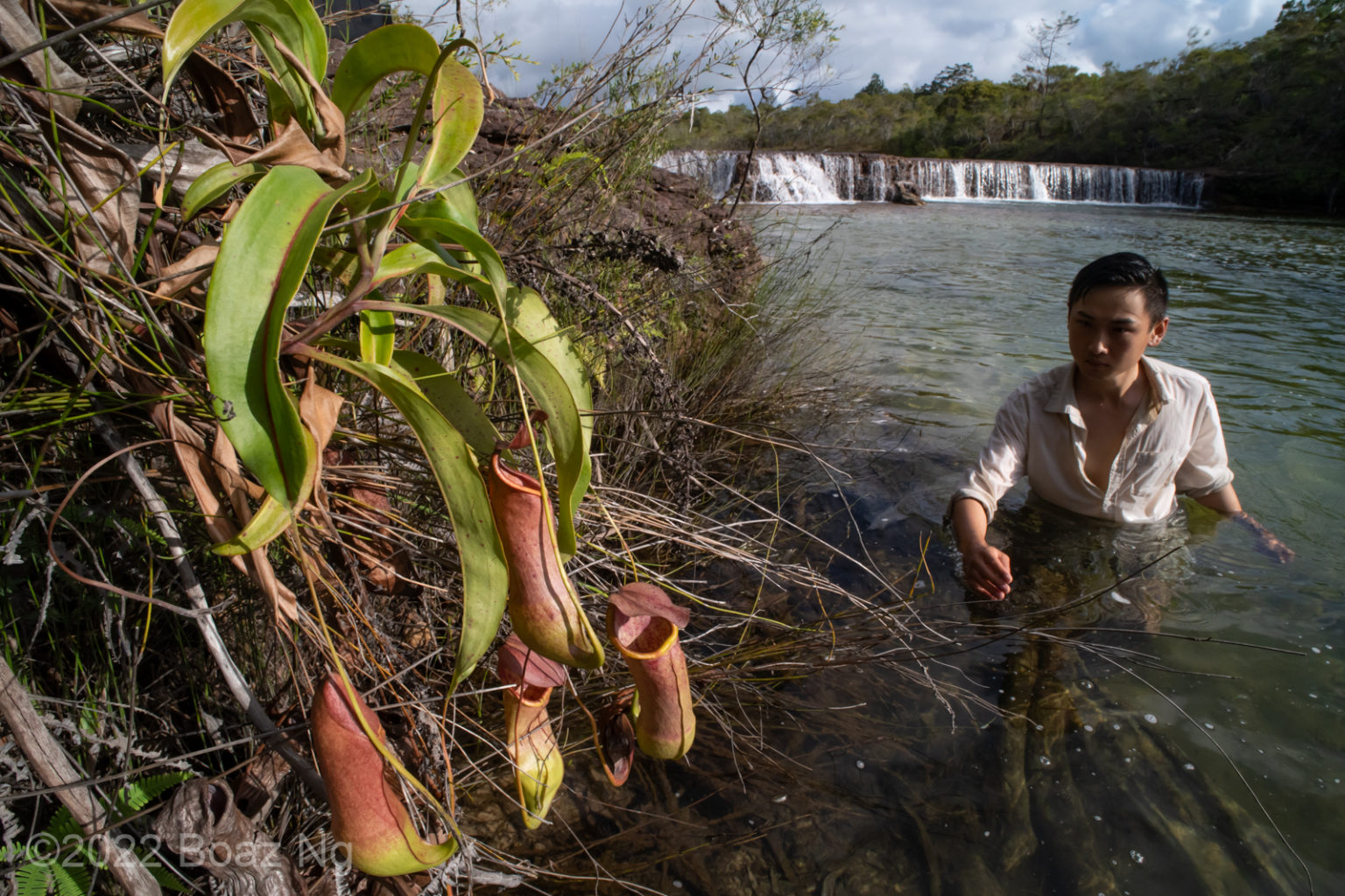 Fierce Flora - Wild Carnivorous Plants