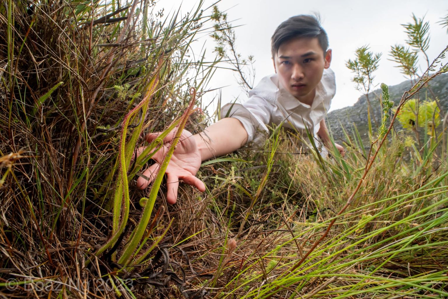 Fierce Flora - Wild Carnivorous Plants